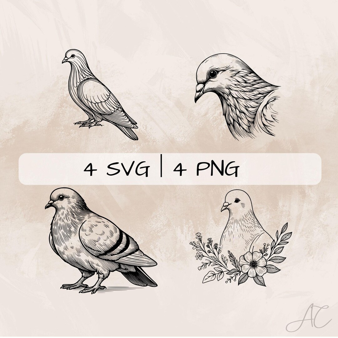 Delicate Pigeon SVG Bundle, Pigeon Line Art PNG, Floral Pigeon Clipart ...