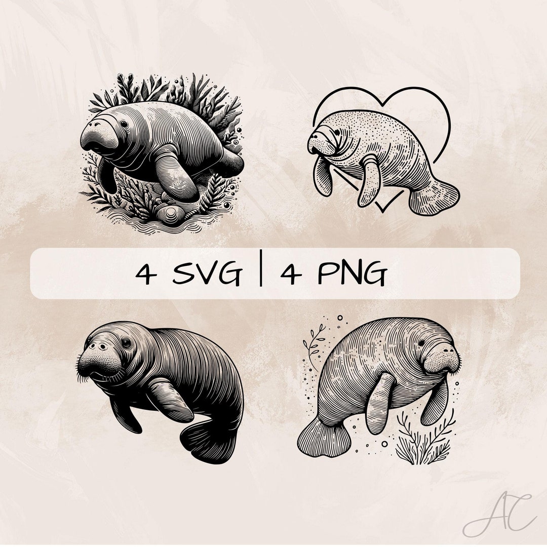 Manatee SVG Bundle, Manatee and Heart PNG, Manatee in Ocean Clipart ...