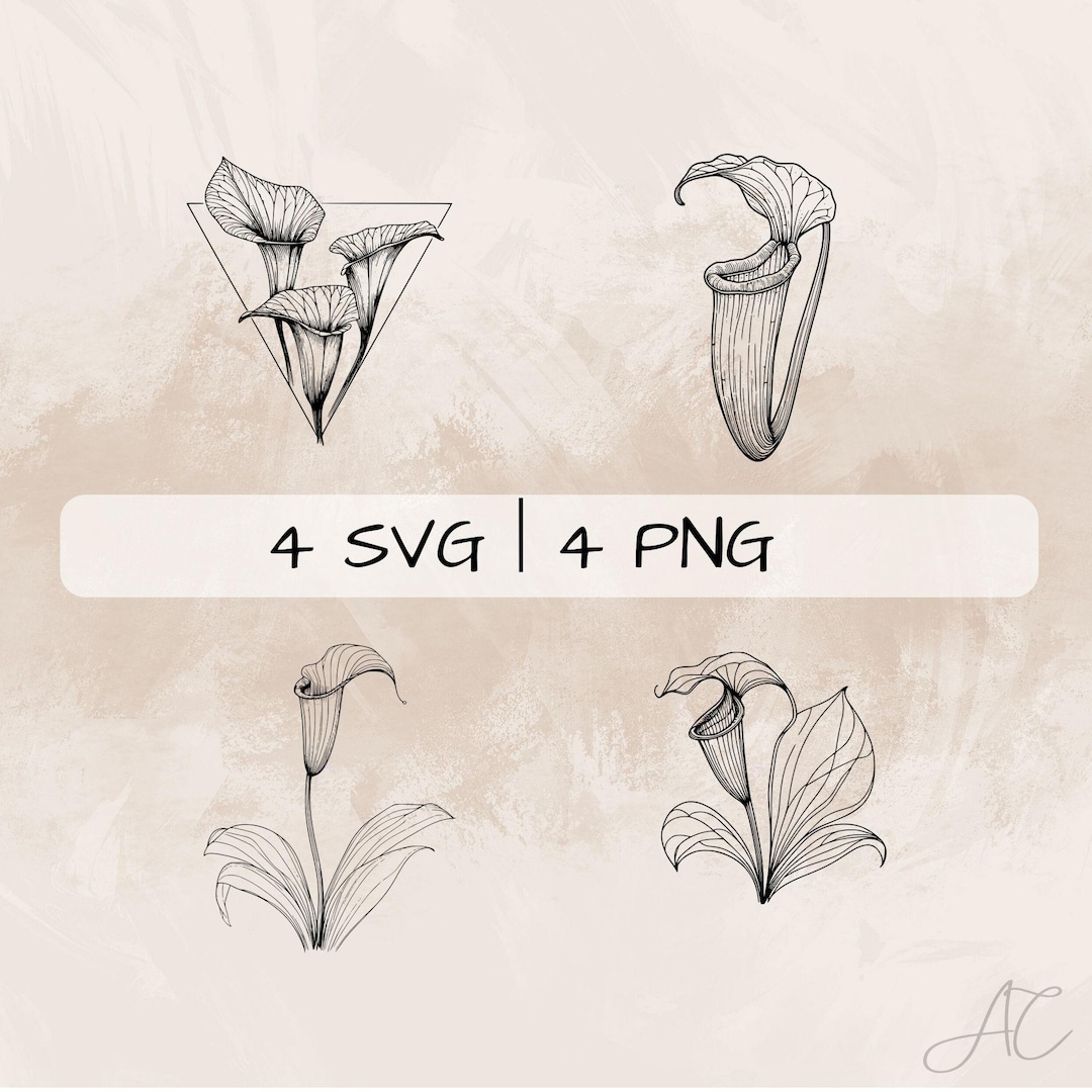 Pitcher Plant SVG Bundle, Pitcher Plant PNG , Carnivorous Plant Clipart ...