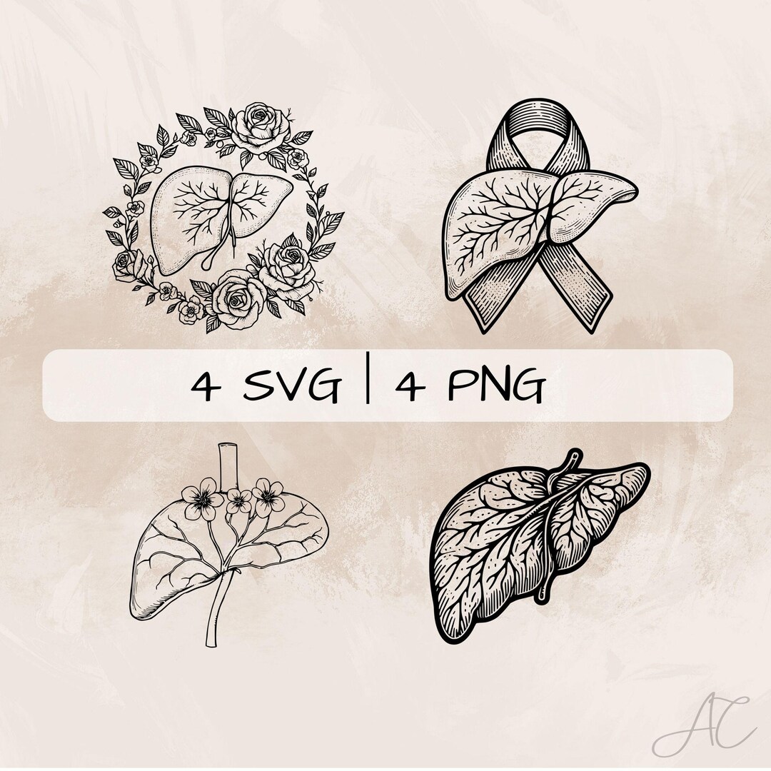 Liver SVG Bundle, Floral Liver PNG ,liver Clipart, Hand Drawn Liver ...