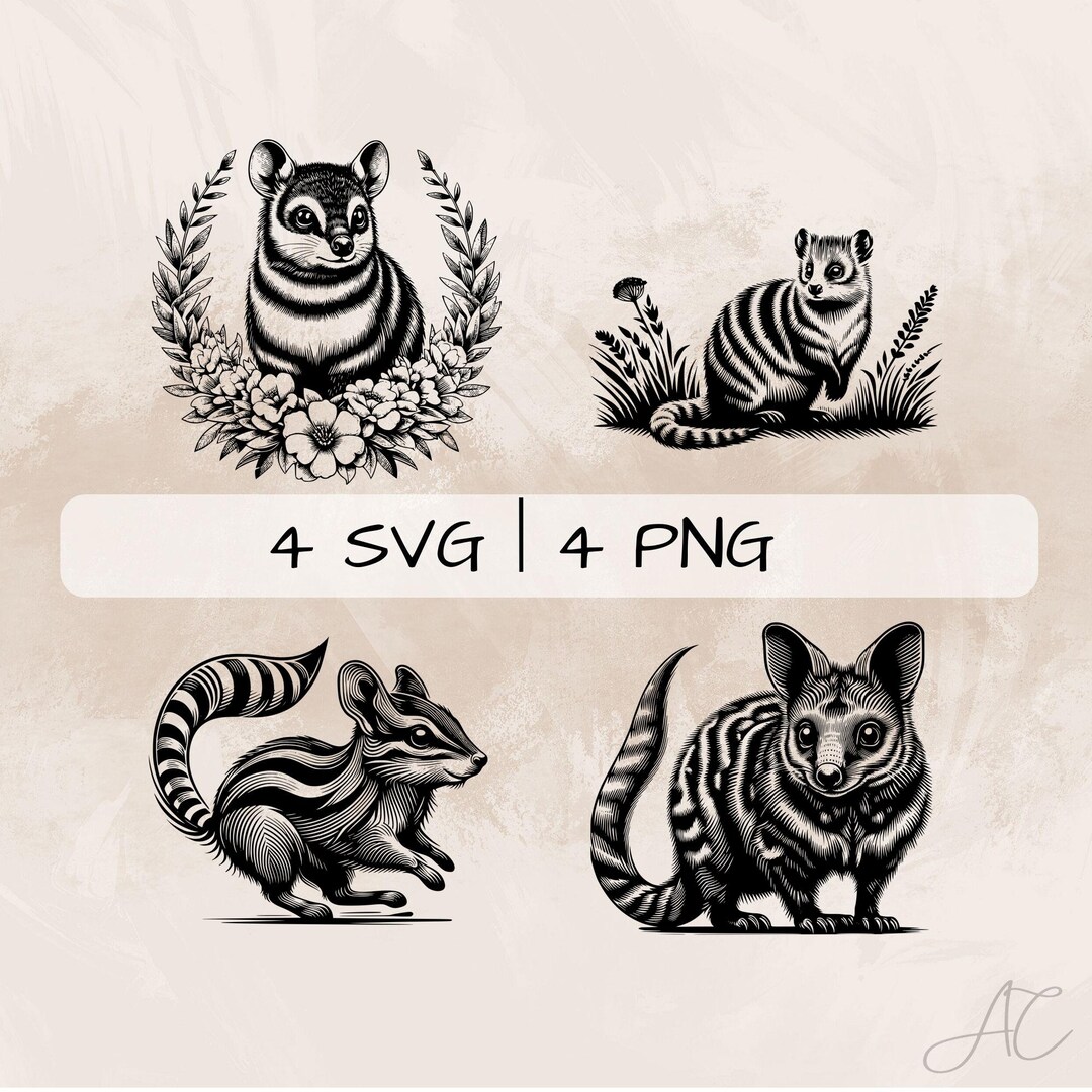Numbat SVG Bundle, Cute Numbat PNG ,numbat Clipart, Hand Drawn Numbat ...