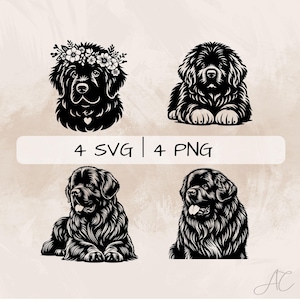 Newfoundland SVG Bundle, Newfoundland PNG ,newfoundland Puppy Clipart ...