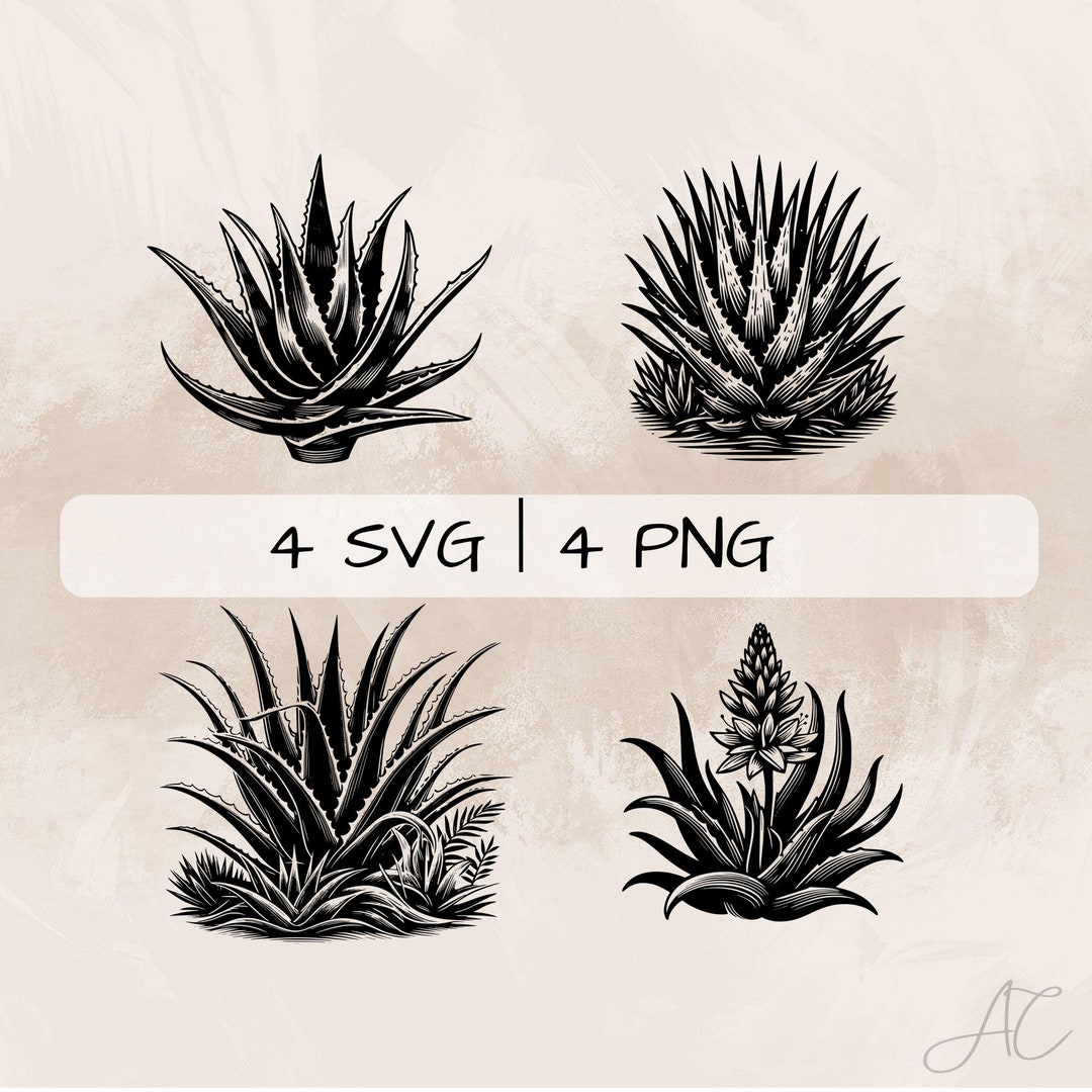 Aloe Vera SVG Bundle, Aloe Vera Flower PNG ,succelent Clipart, Hand ...