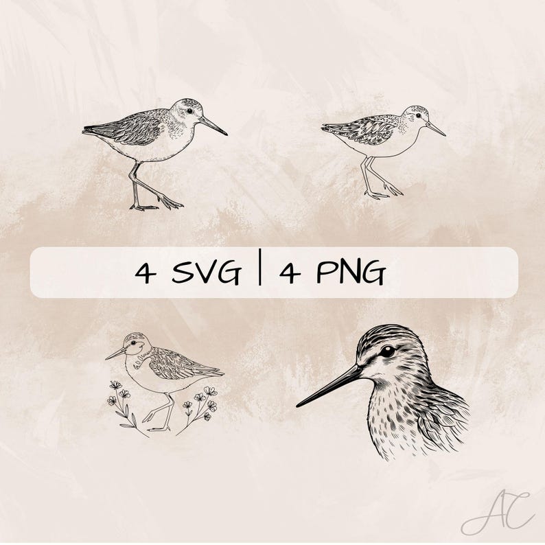 Sandpiper SVG Bundle, Sandpiper Bird PNG ,sandpiper Clipart, Hand Drawn ...