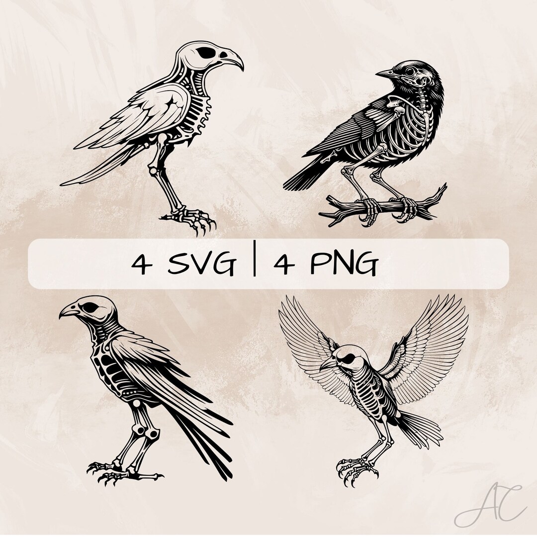 Skeleton Bird SVG Bundle, Halloween Bird PNG, Bird Skeleton Clipart ...