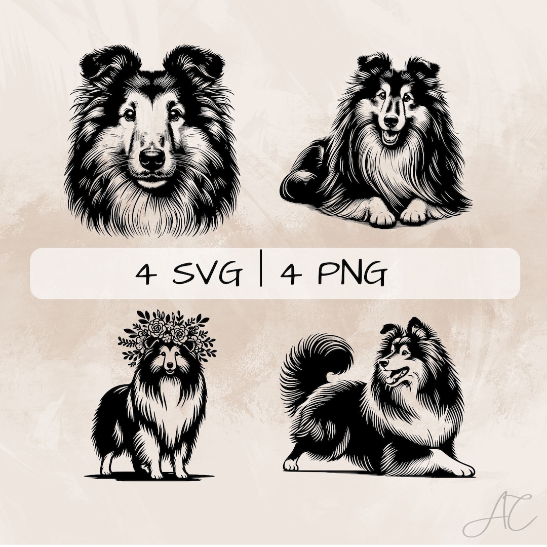Shetland Sheepdog SVG Bundle, Sheltie PNG, Cute Sheltie Clipart , Hand ...