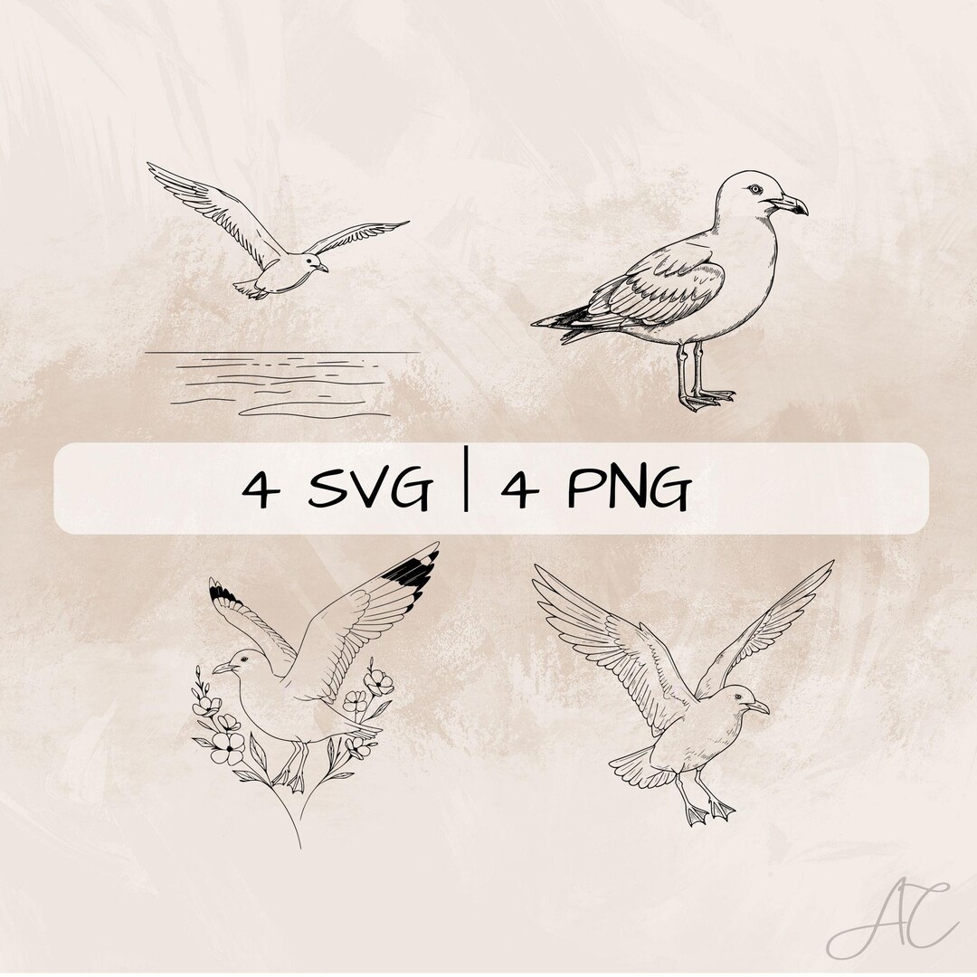 Delicate Gull SVG Bundle, Gull Bird PNG ,seagull Clipart, Hand Drawn ...