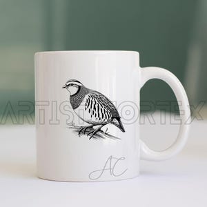 Partridge SVG Bundle, Partridge Bird PNG ,partridge Clipart, Hand Drawn ...