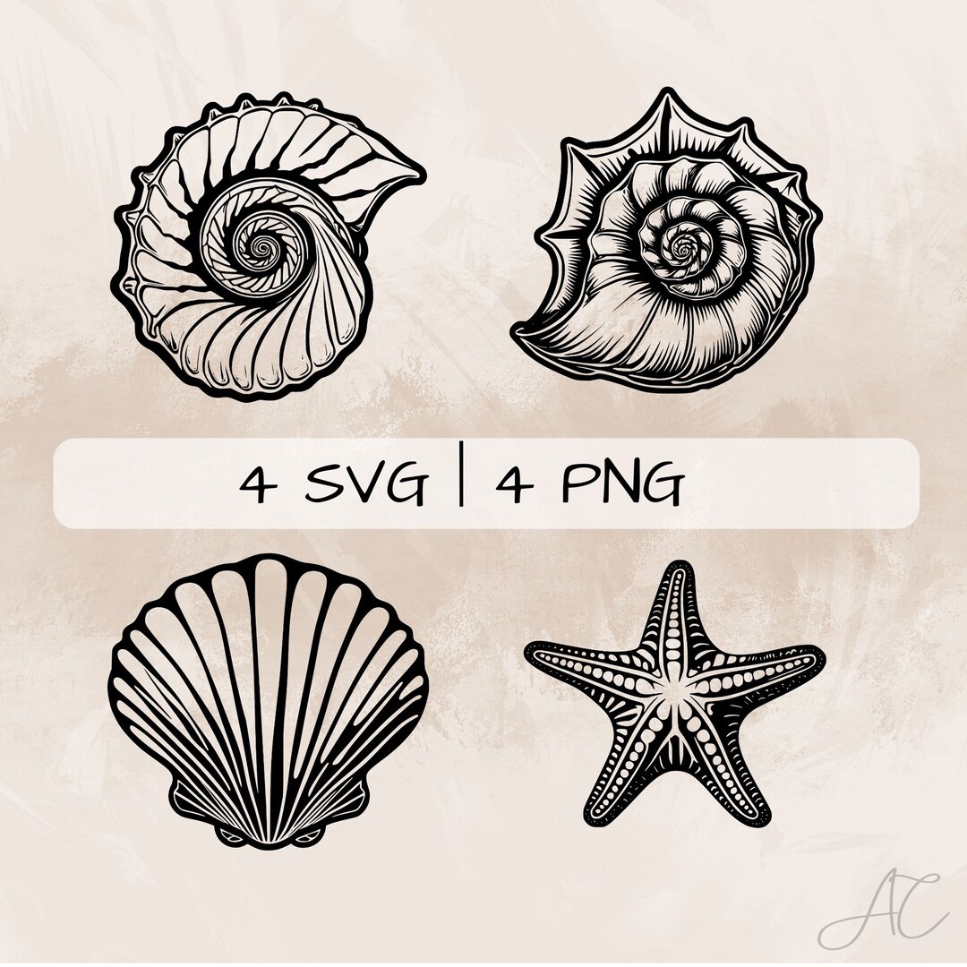 Seashells SVG, Starfish PNG, Seashell Clipart, Hand Drawn Seashells for ...