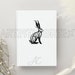 Jackalope SVG Bundle, Jackalope Face PNG, Jackrabbit Clipart, Hand ...
