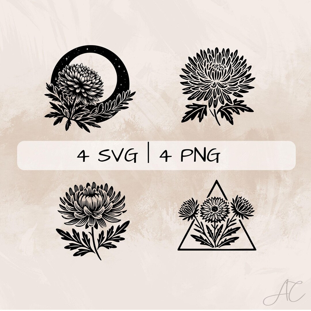 Aster SVG Bundle, Aster Flower PNG ,aster Clipart, Hand Drawn Aster ...