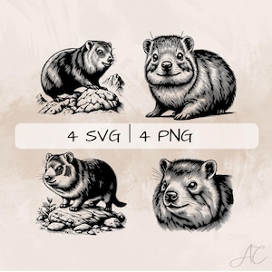 Rock Hyrax SVG Bundle, Hyrax PNG ,rock Hyrax Clipart, Hand Drawn Rock ...
