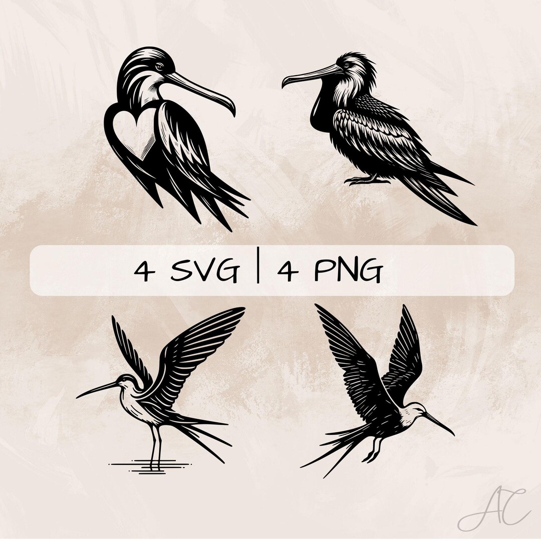 Frigatebird SVG Bundle, Flying Frigatebird PNG ,frigatebird Clipart ...