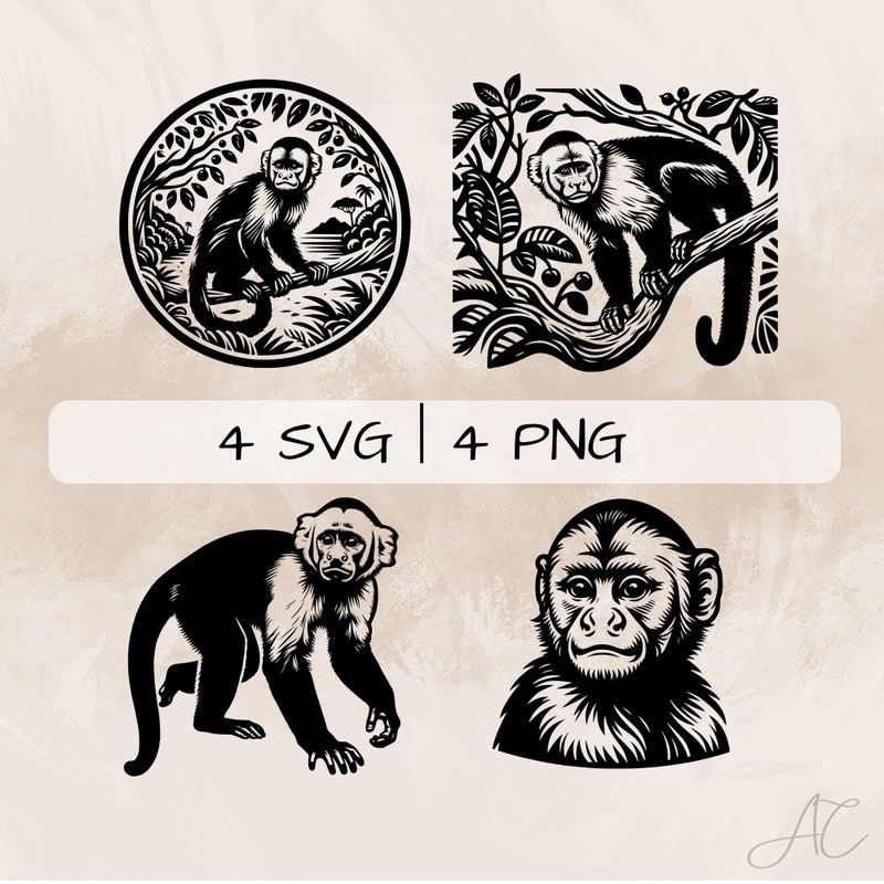 Capuchin Monkey Svg - Etsy