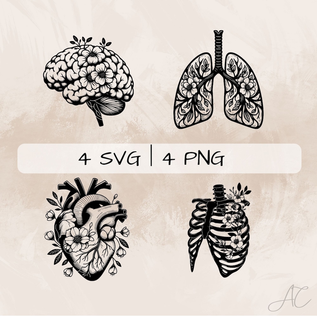 Organs SVG Bundle, Floral Heart PNG, Floral Lungs Clipart, Hand Drawn ...