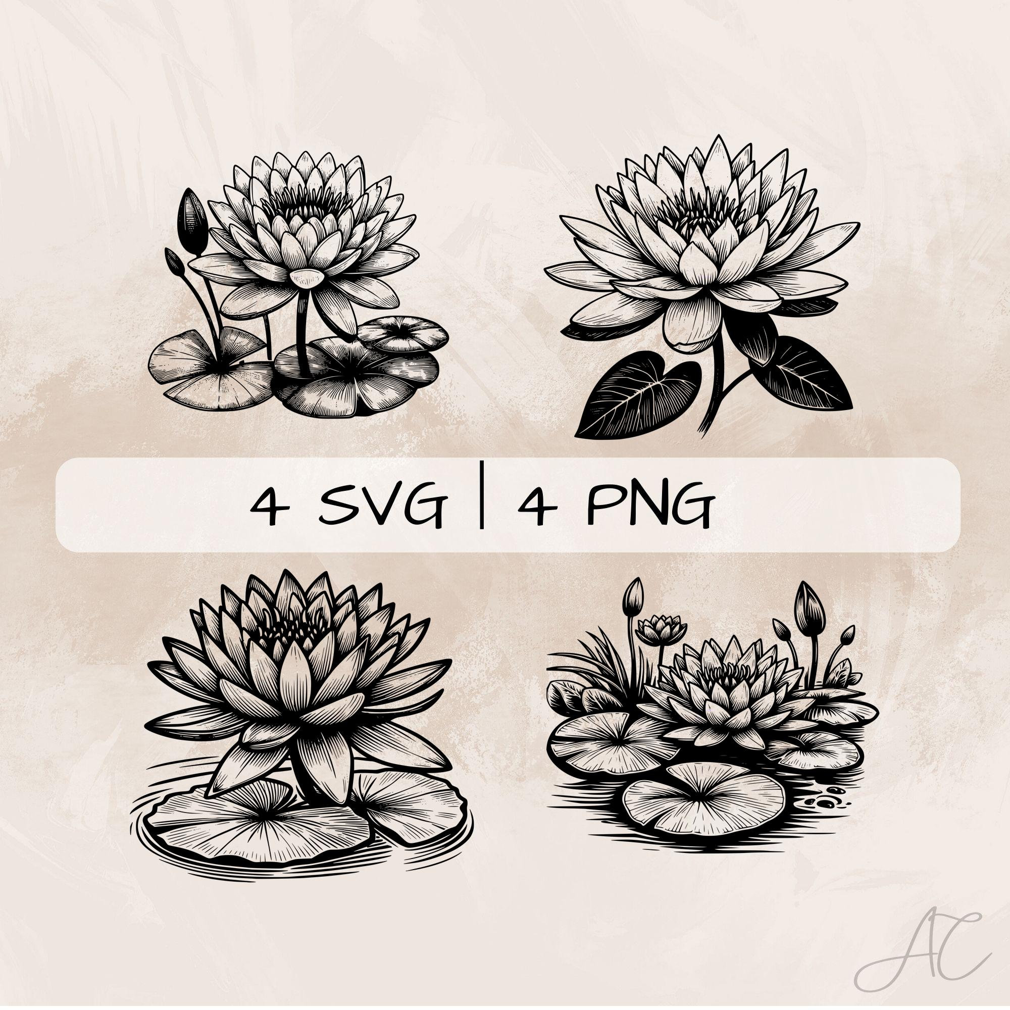 Water Lily SVG Bundle, Lily PNG, Water Lilies Clipart, Hand Drawn Water ...