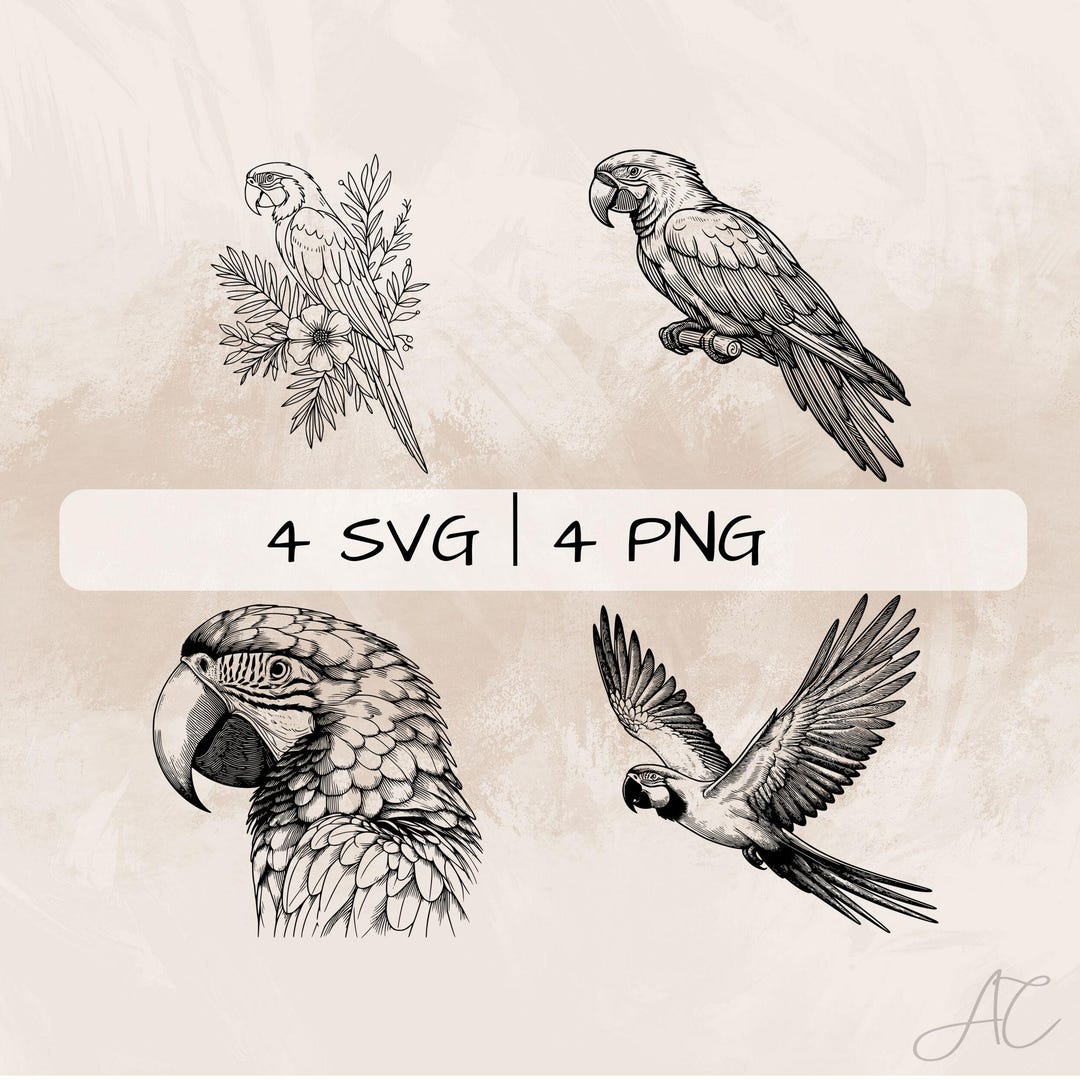 Delicate Macaw SVG Bundle, Macaw Line Art PNG, Floral Macaw Clipart ...