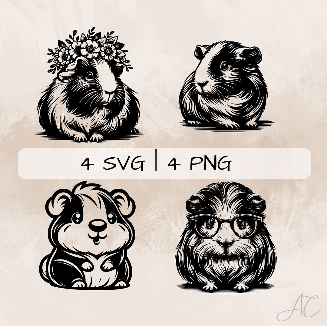 Guinea Pig SVG Bundle, Floral Guinea Pig PNG, Cute Guinea Pig Clipart ...