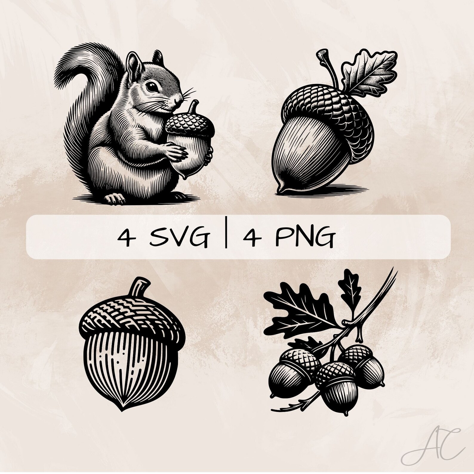 Acorn SVG Bundle, Squirrel With Acorn PNG, Acorn on Branch Clipart ...
