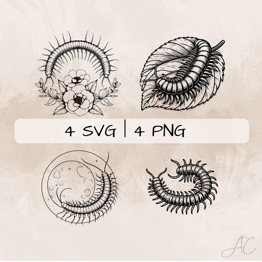 Centipede SVG Bundle, Insect PNG ,centipede Clipart, Hand Drawn ...