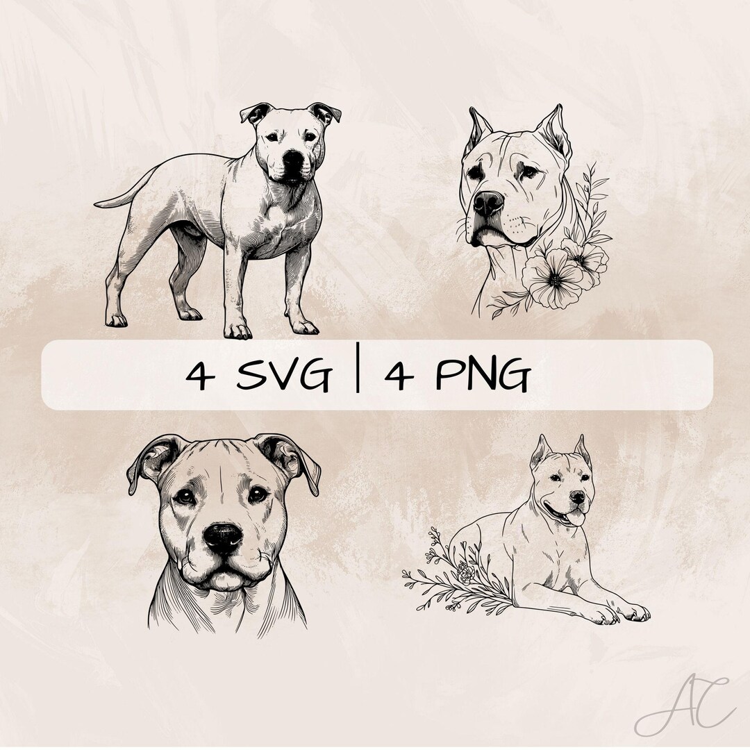 Amstaff SVG Bundle, Amstaff Dog PNG, American Staffordshire Terrier ...
