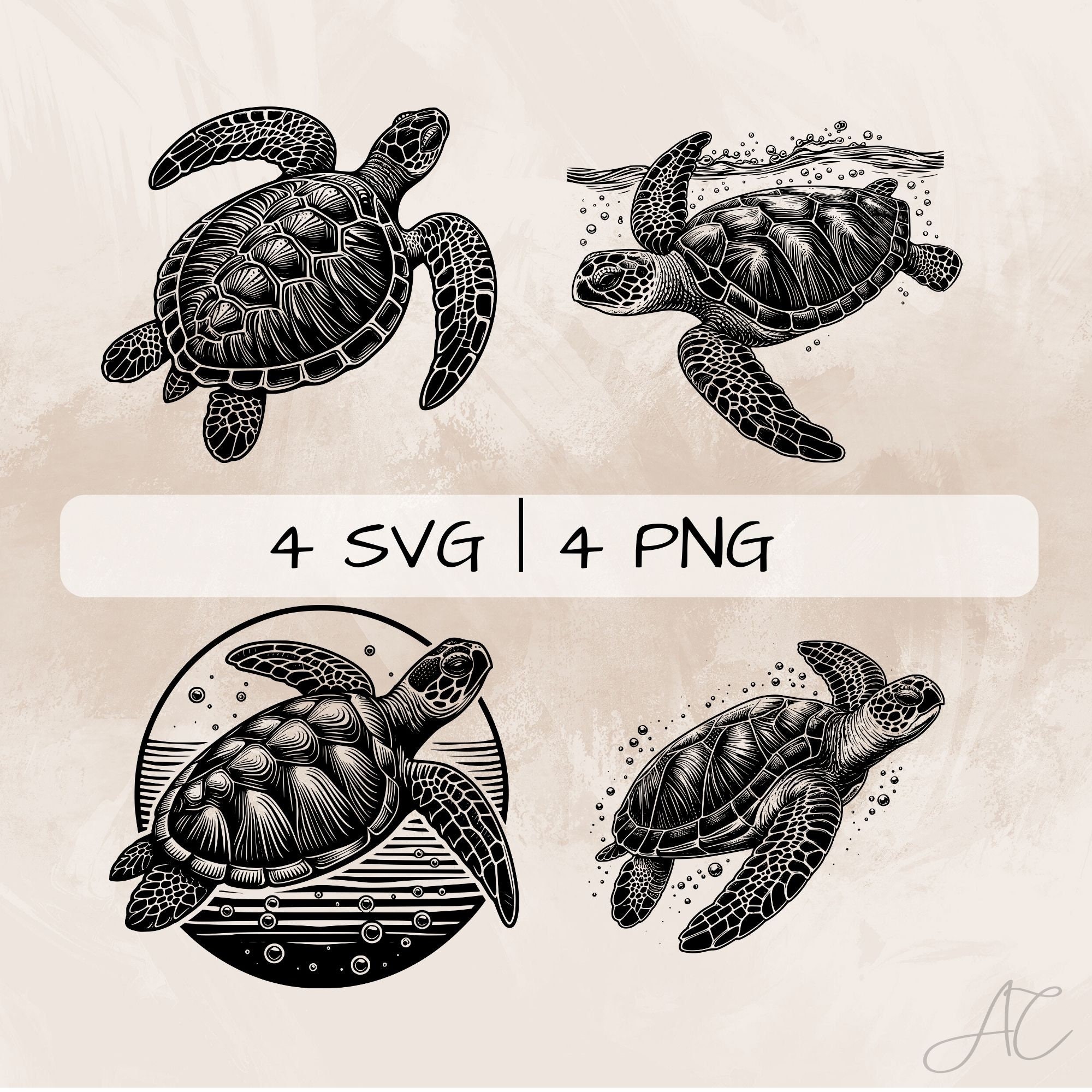 Paquete SVG de tortugas marinas, PNG de tortugas, imágenes prediseñadas ...