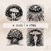 Hail SVG Bundle, Hail Storm PNG, Hail and Umbrella Clipart, Hand Drawn ...