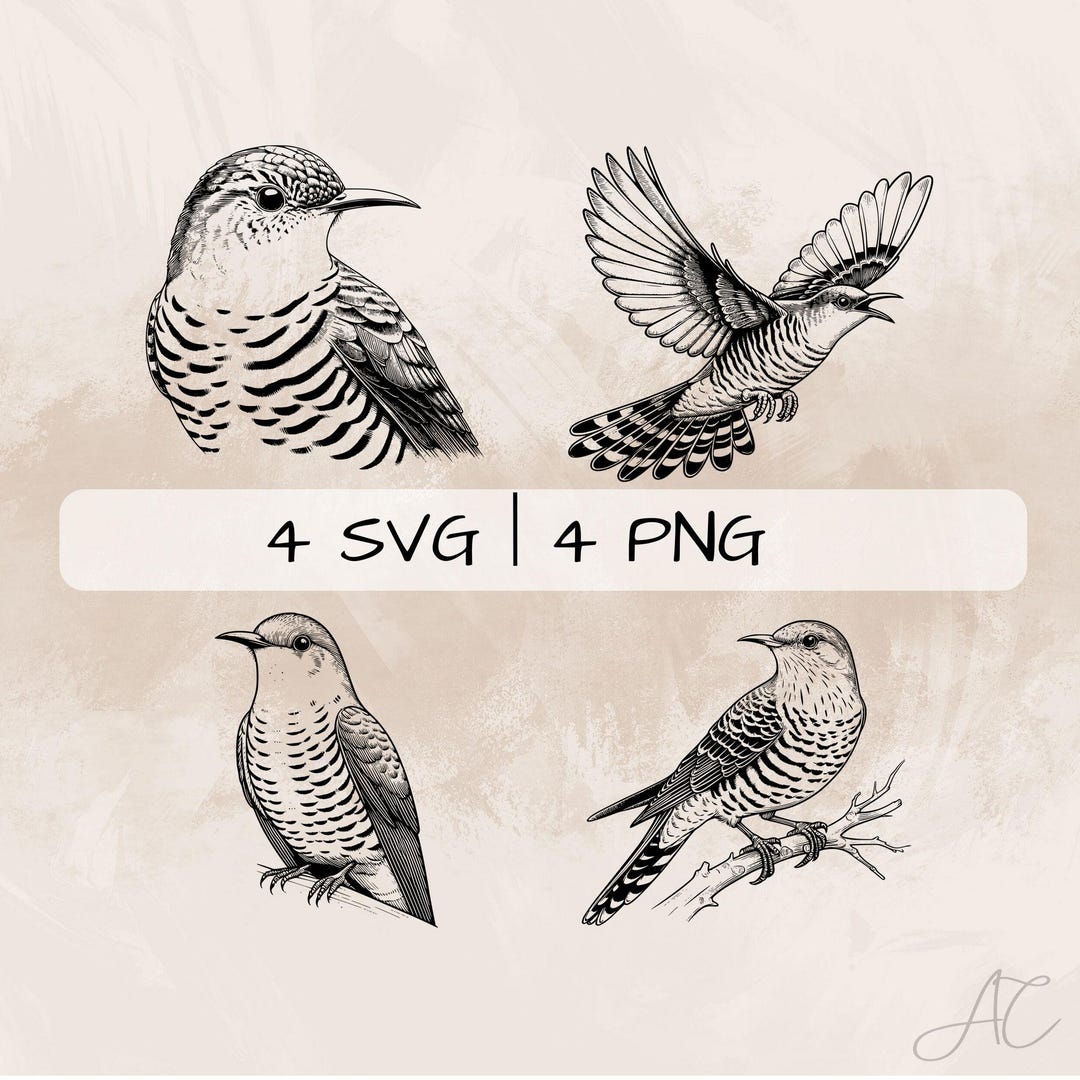 Cuckoo Bird SVG Bundle, Cuckoo PNG ,cuckoo Clipart, Hand Drawn Cuckoo ...