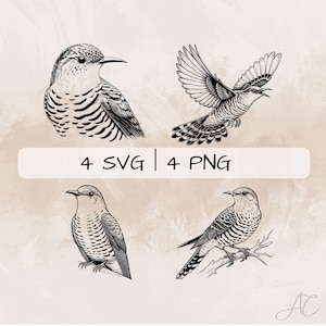 Cuckoo Bird SVG Bundle, Cuckoo PNG ,cuckoo Clipart, Hand Drawn Cuckoo ...