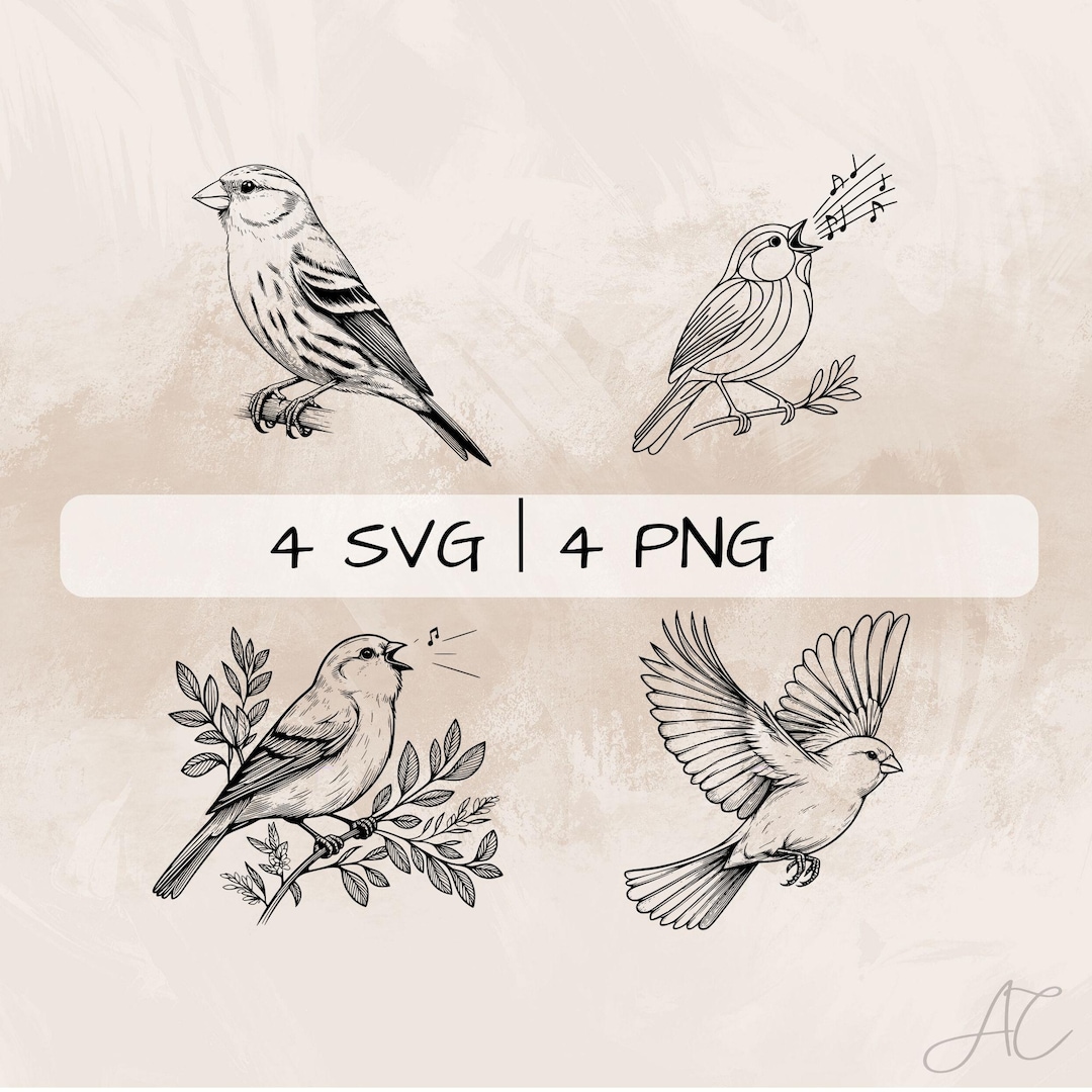 Canary SVG Bundle, Canary Bird PNG , Songbird Clipart, Hand Drawn ...
