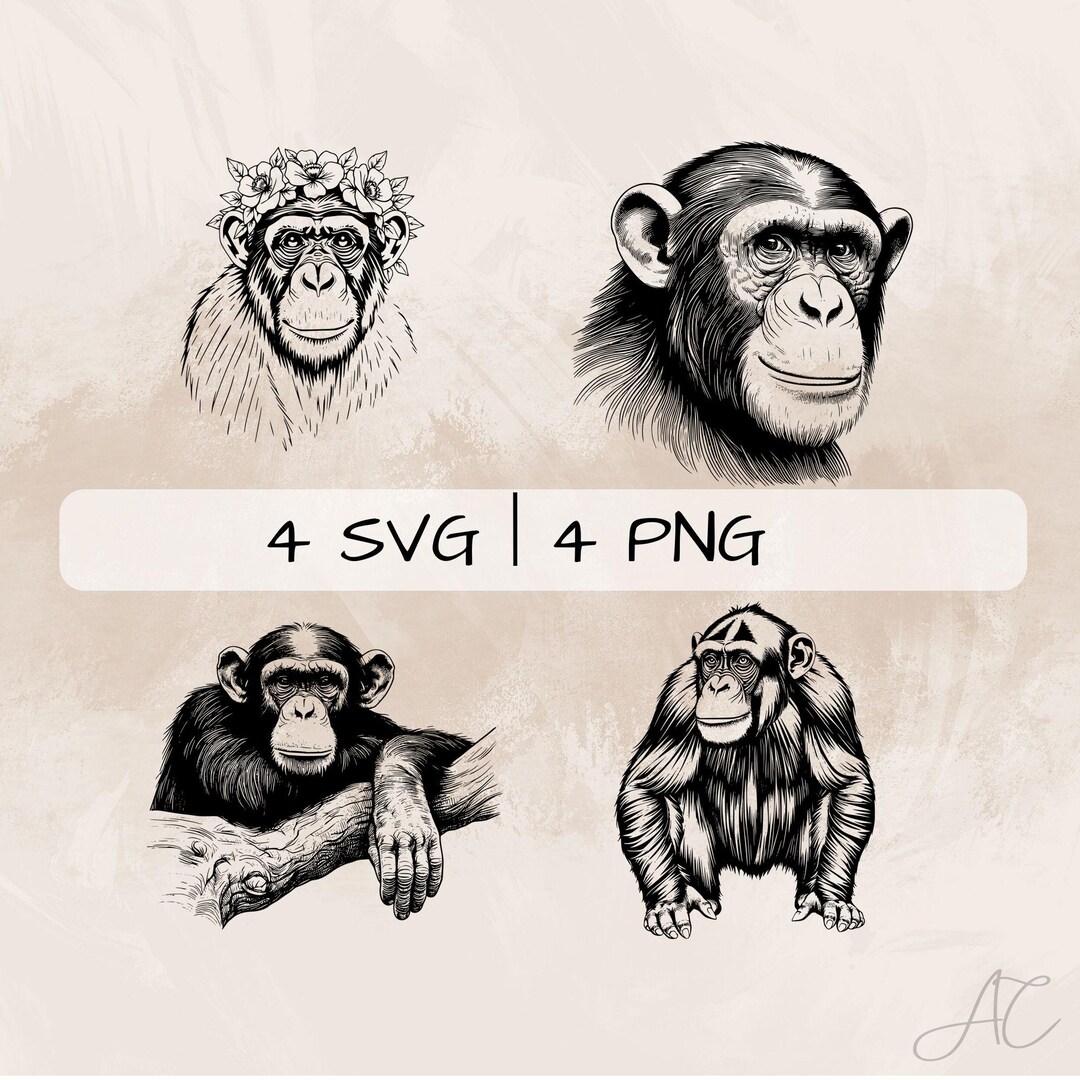 Chimpanzee SVG Bundle, Chimpanzee Monkey PNG , Floral Chimpanzee ...