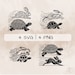 Tortoise and the Hare SVG Bundle, Race PNG, Tortoise Clipart , Hare ...