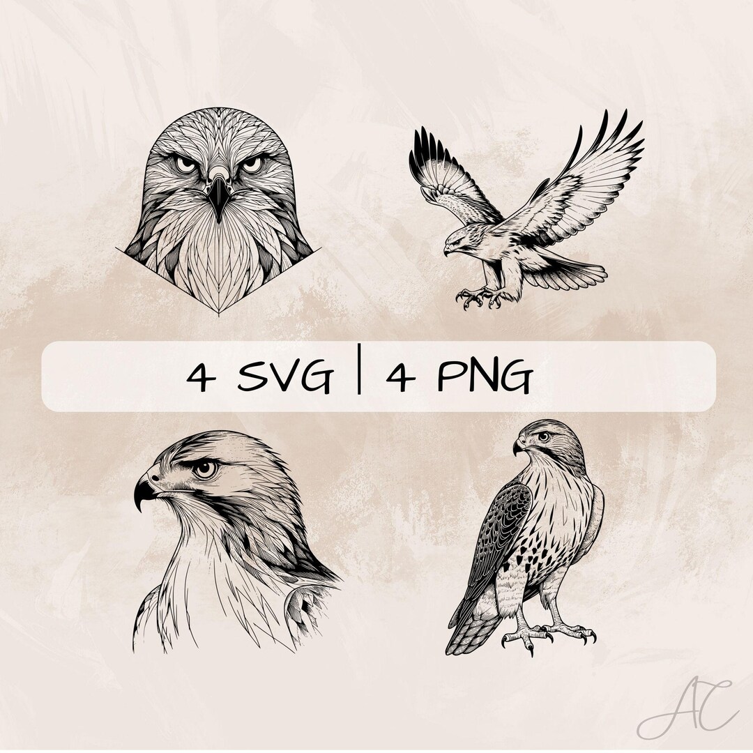 Hawk SVG Bundle, Hawk PNG , Raptor Clipart, Hand Drawn Hawk Pictures ...