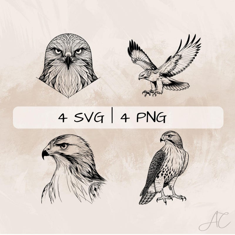 Hawk Hand Drawn Print - Etsy UK