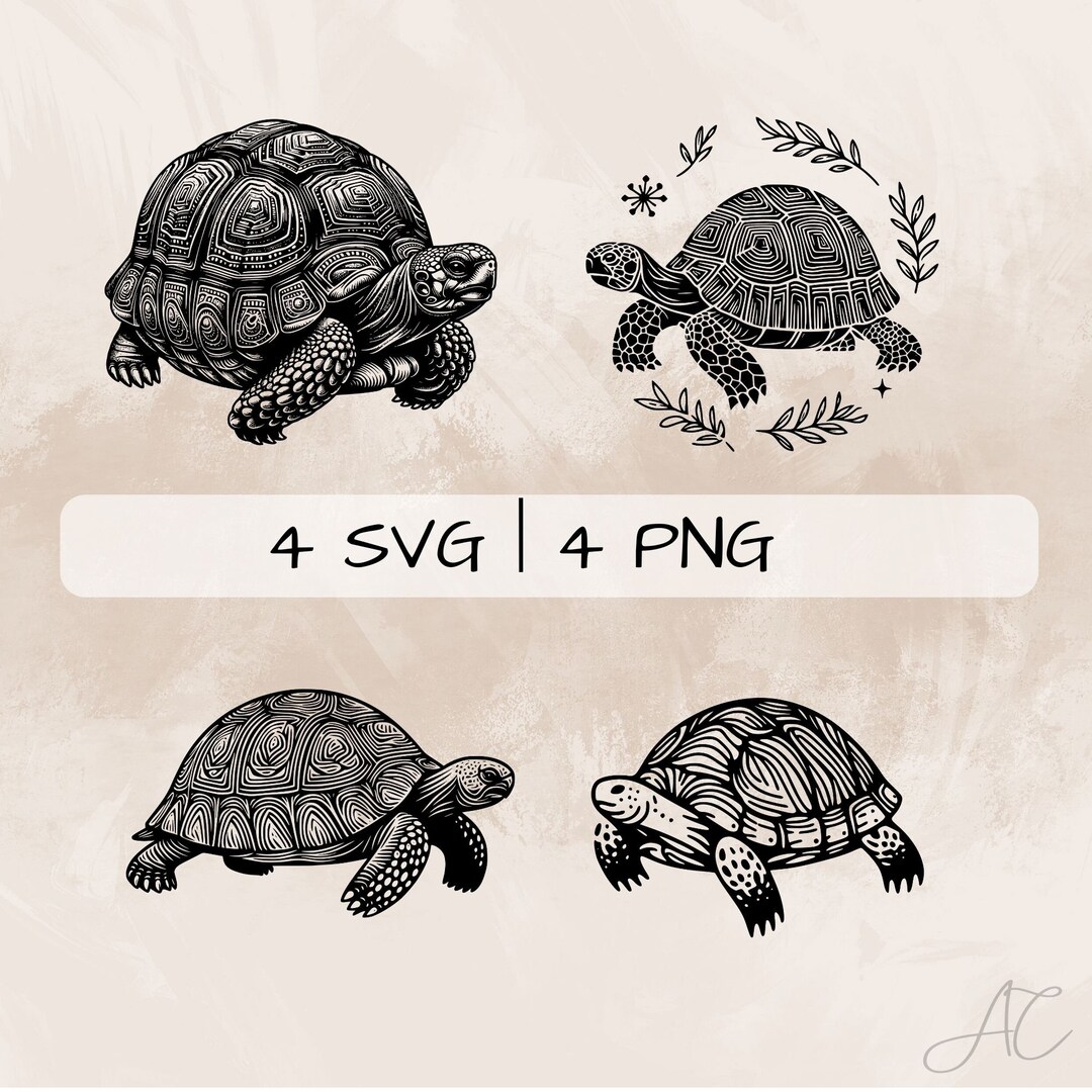 Tortoise SVG Bundle, Cute Tortoise PNG, Tortoise Logo, Hand Drawn ...