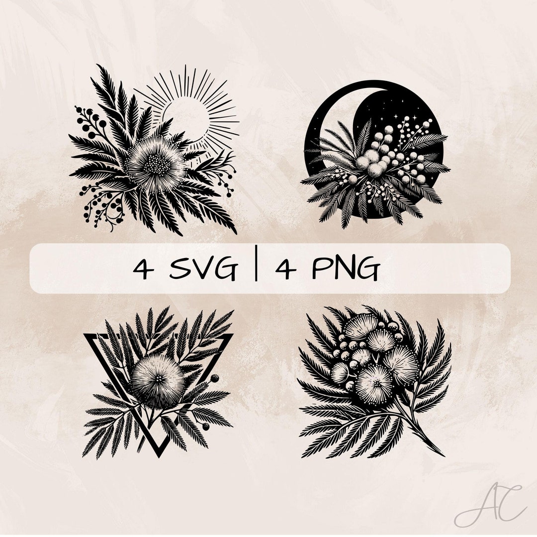 Mimosa SVG Bundle, Mimosa Flower PNG ,mimosa Flower Clipart, Hand Drawn ...