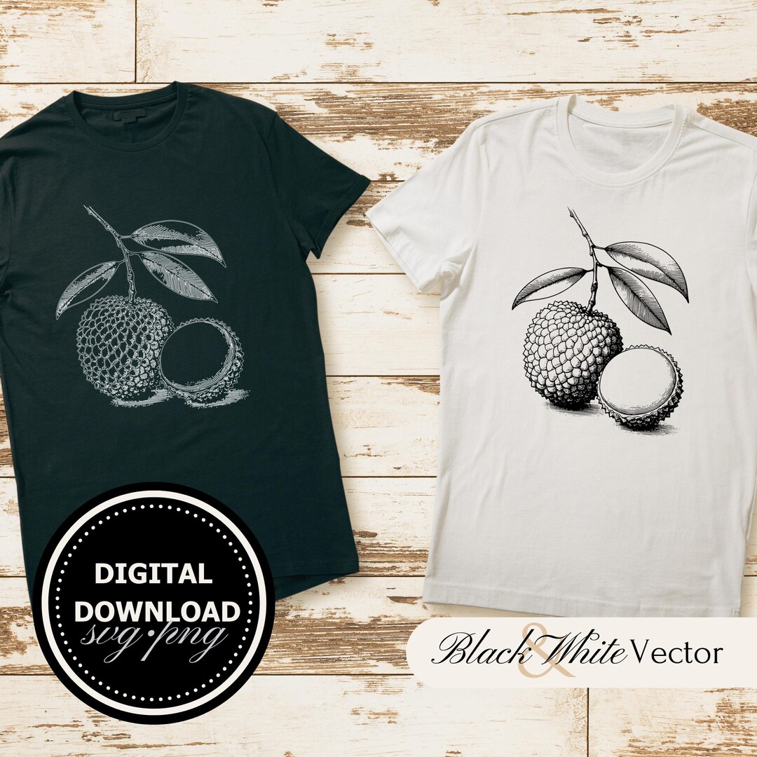 Lychee SVG Bundle, Fruit PNG, Food Clipart, Hand Drawn Lychee Pictures ...