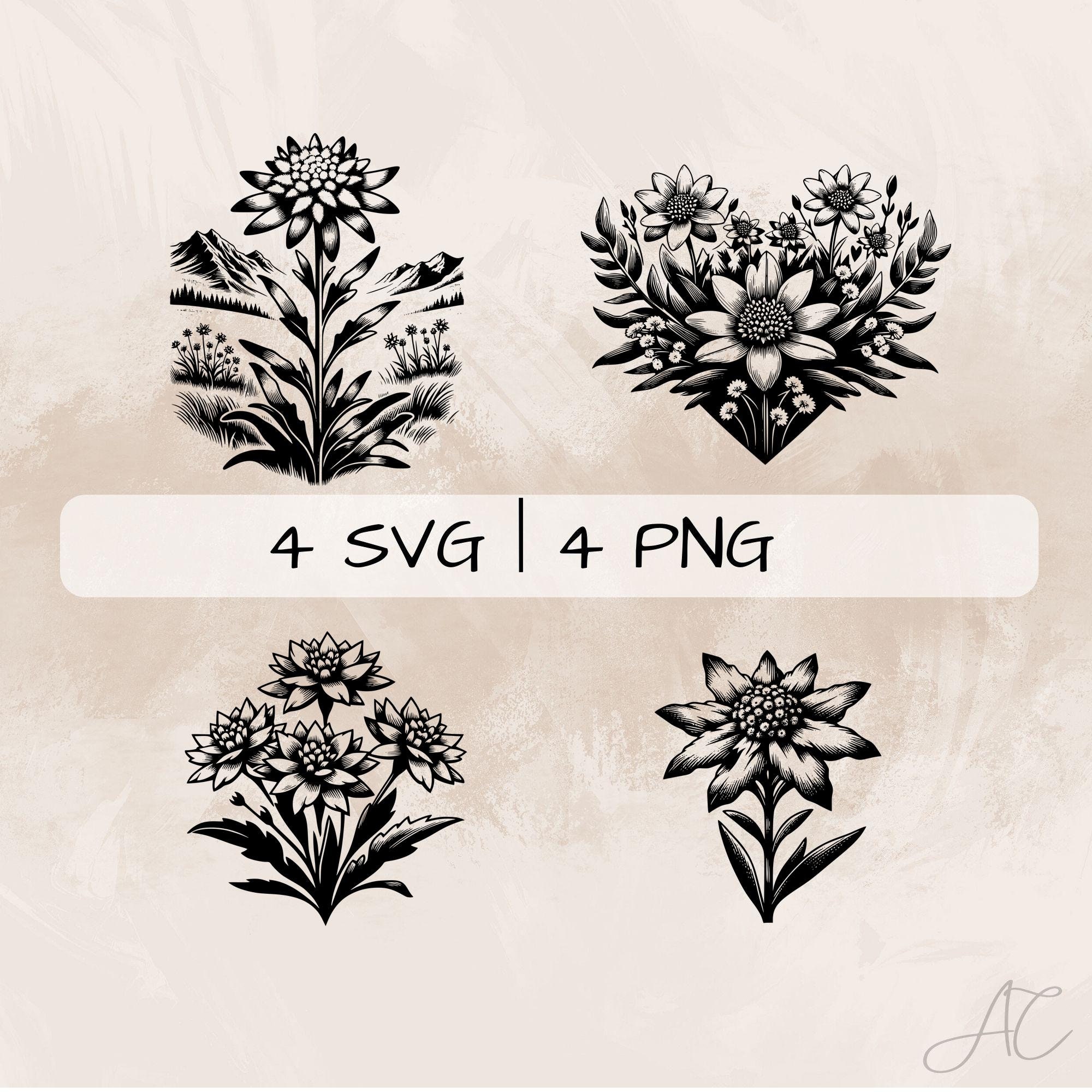 Edelweiss SVG Bundle, Edelweiss Flower PNG ,edelweiss Scene Clipart ...