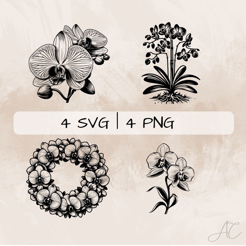 Orchids Svg - Etsy