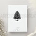Cedar Tree SVG Bundle, Cedar Tree in Forest PNG ,cedar Tree With Heart ...