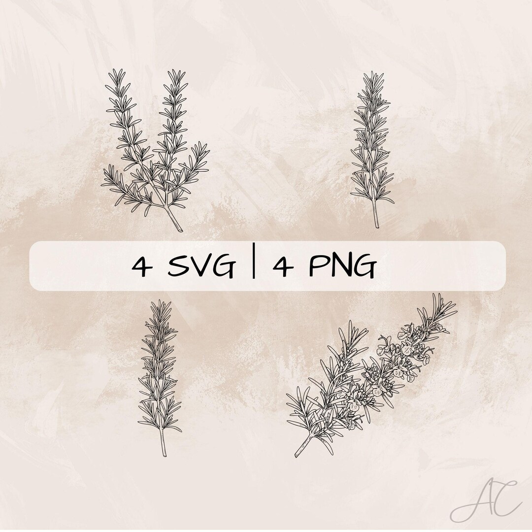 Rosemary SVG Bundle, Rosemary Plant PNG ,rosemary Herb Clipart, Hand ...