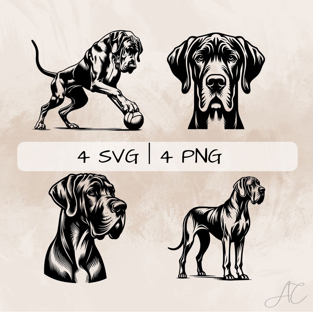 Great Dane SVG Bundle, Great Dane With Ball PNG, Great Dane Face ...