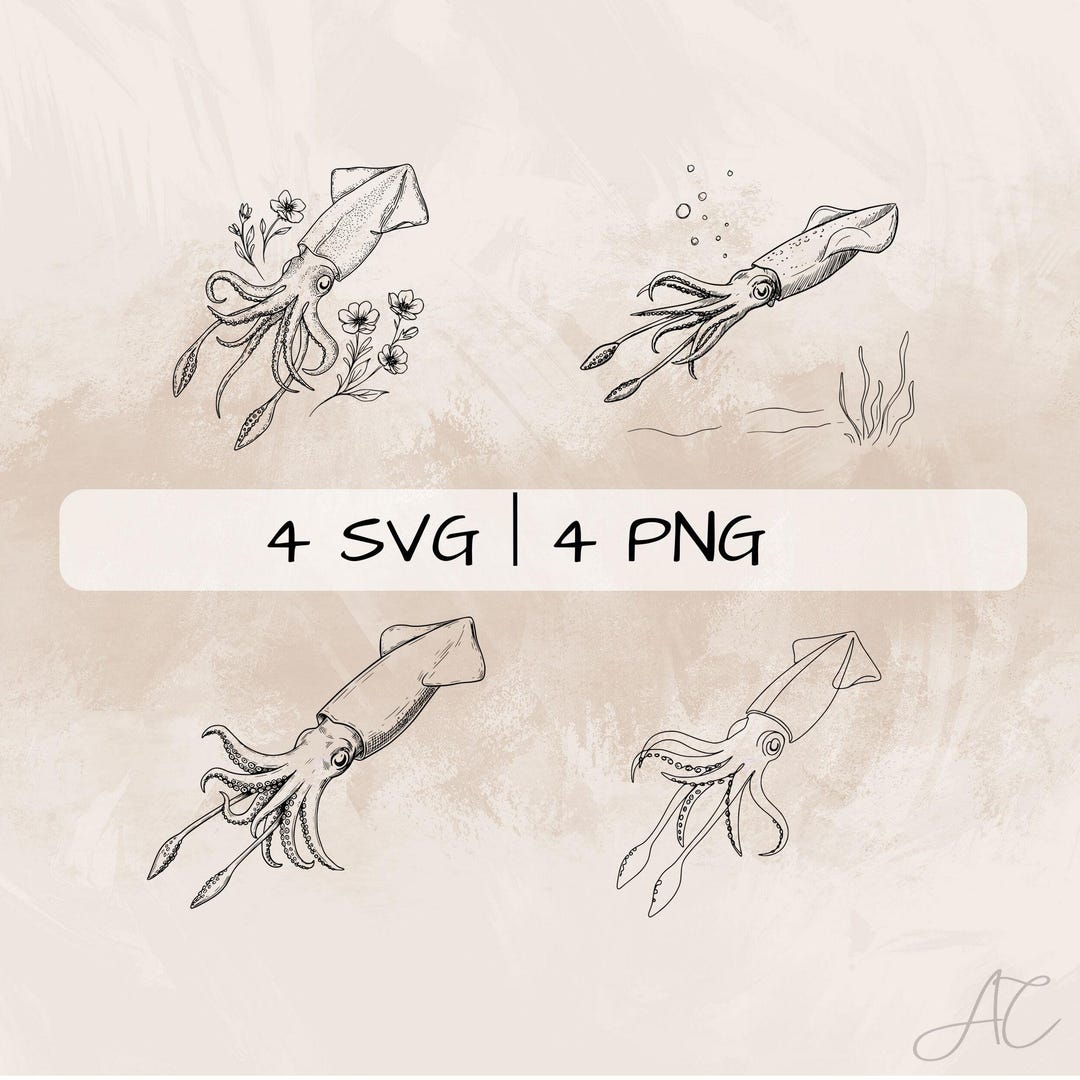 Squid SVG Bundle, Squid PNG ,squid Clipart, Hand Drawn Squid Pictures ...