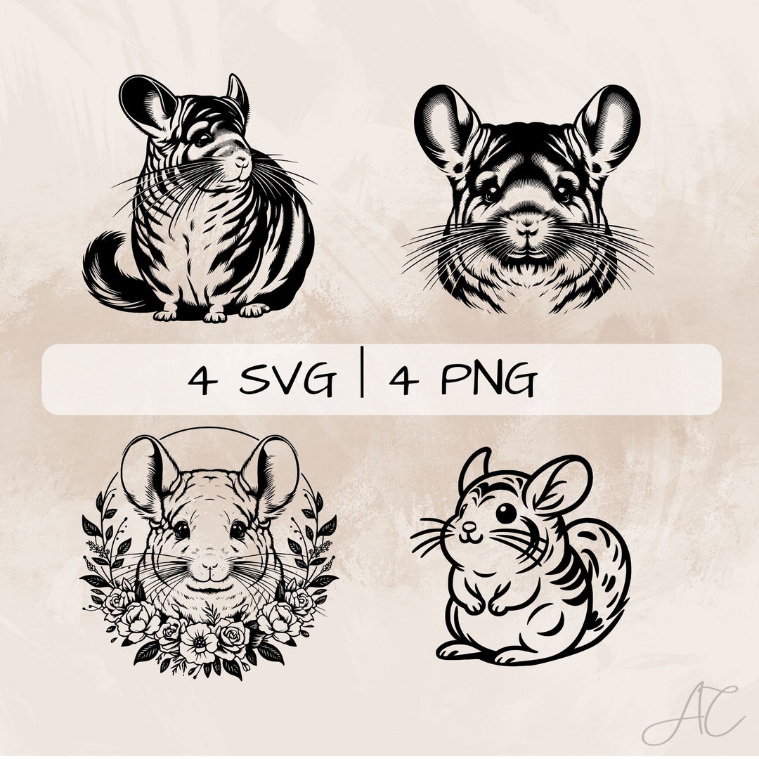 Chinchilla SVG Bundle, Chinchilla Face PNG, Floral Chinchilla Clipart ...