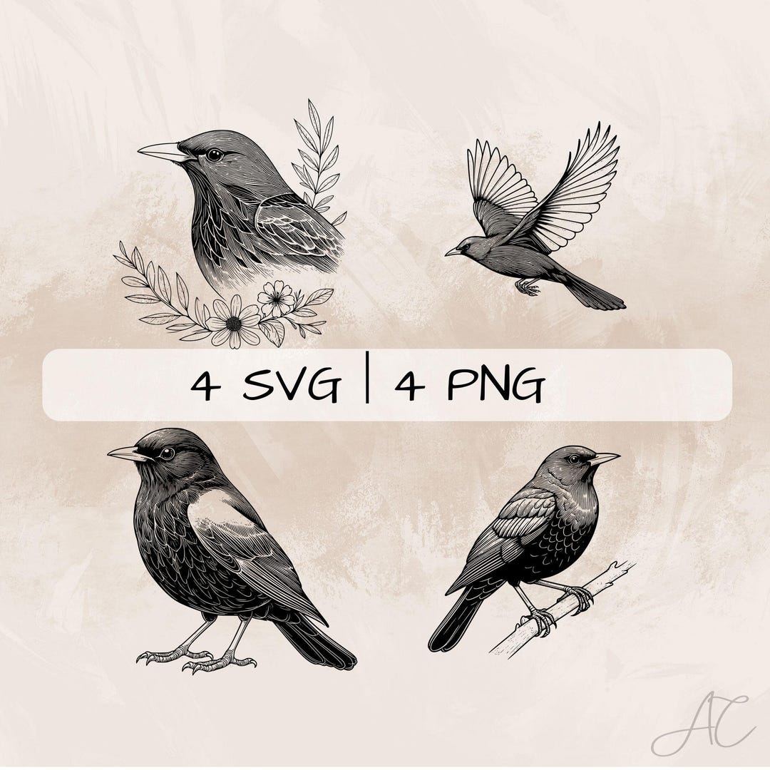 Blackbird SVG Bundle, Black Bird PNG ,blackbird Clipart, Hand Drawn ...