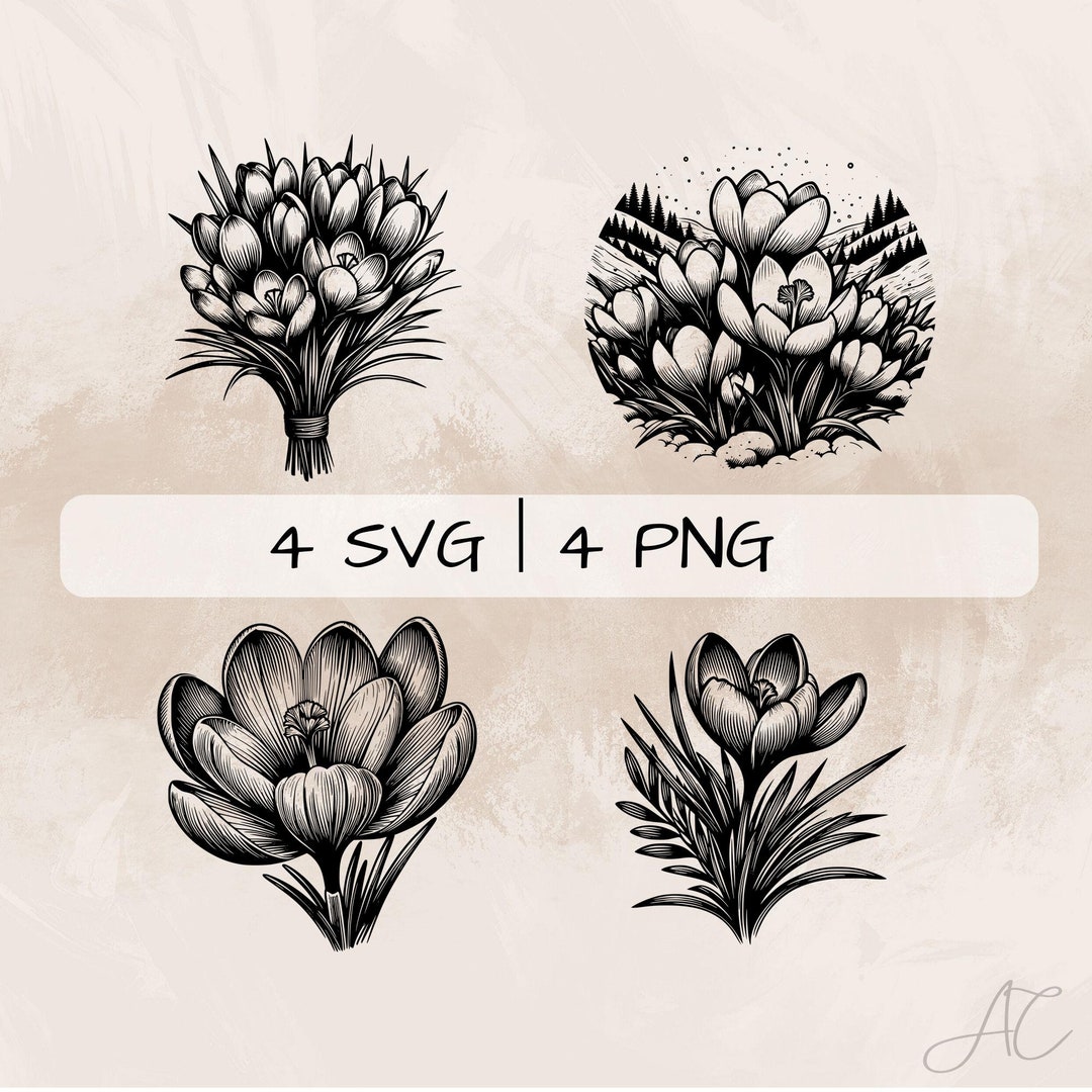 Crocus SVG Bundle, Crocus Flower PNG ,crocus Bouquet Clipart, Hand ...
