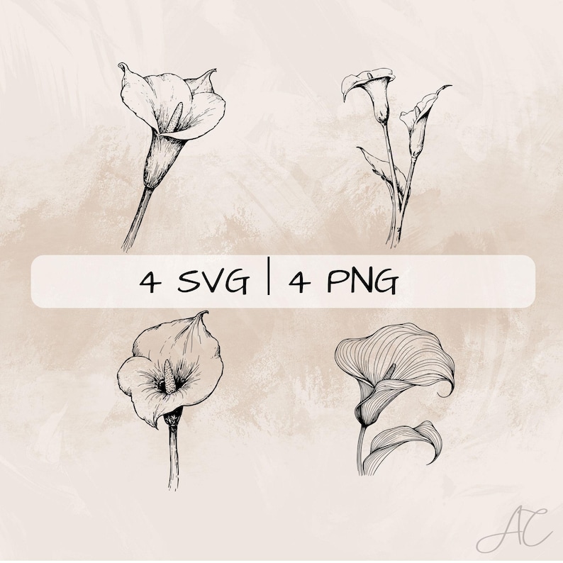Calla Lily SVG Bundle, Lily PNG ,calla Lily Clipart, Hand Drawn Calla ...