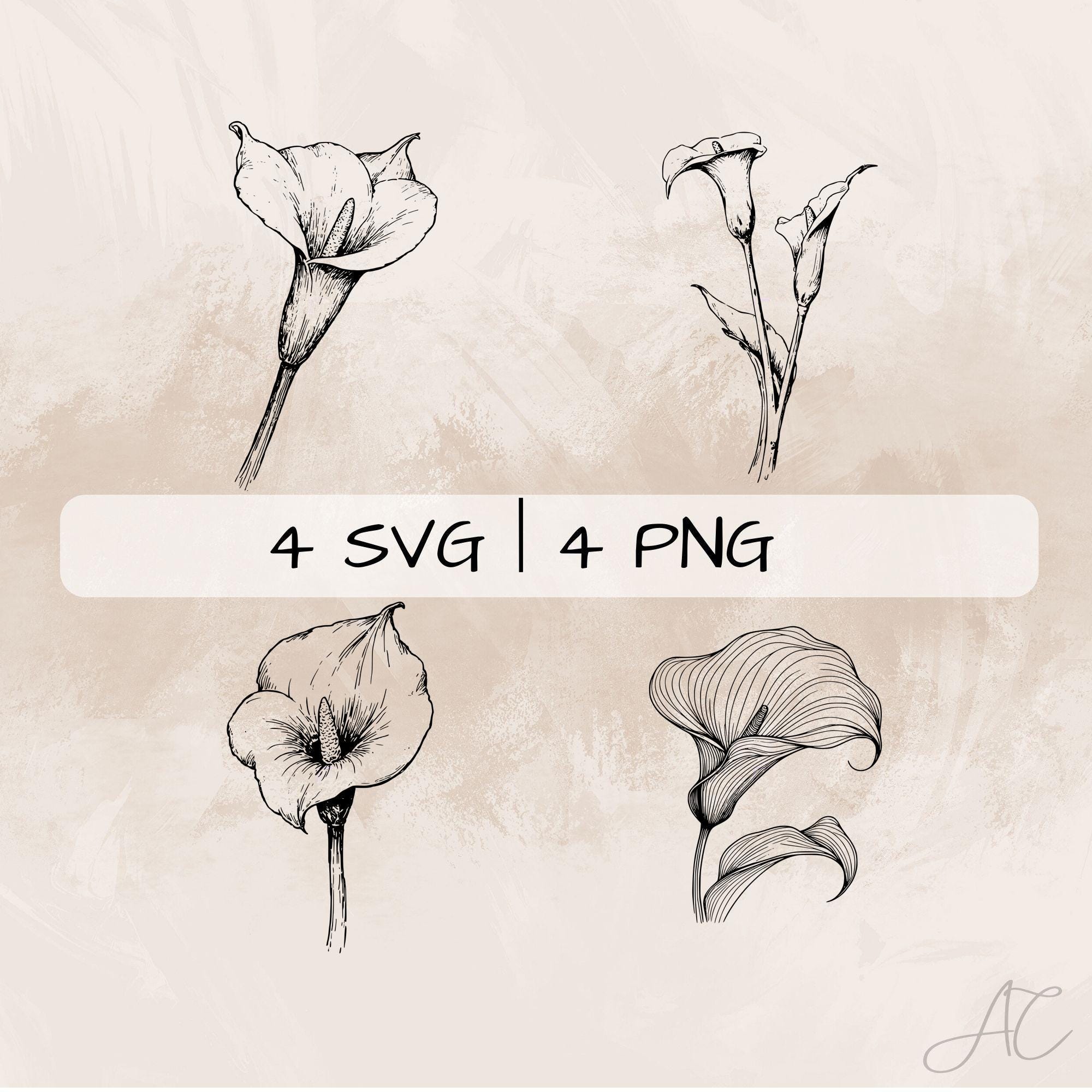 Calla Lily SVG Bundle, Lily PNG ,calla Lily Clipart, Hand Drawn Calla ...