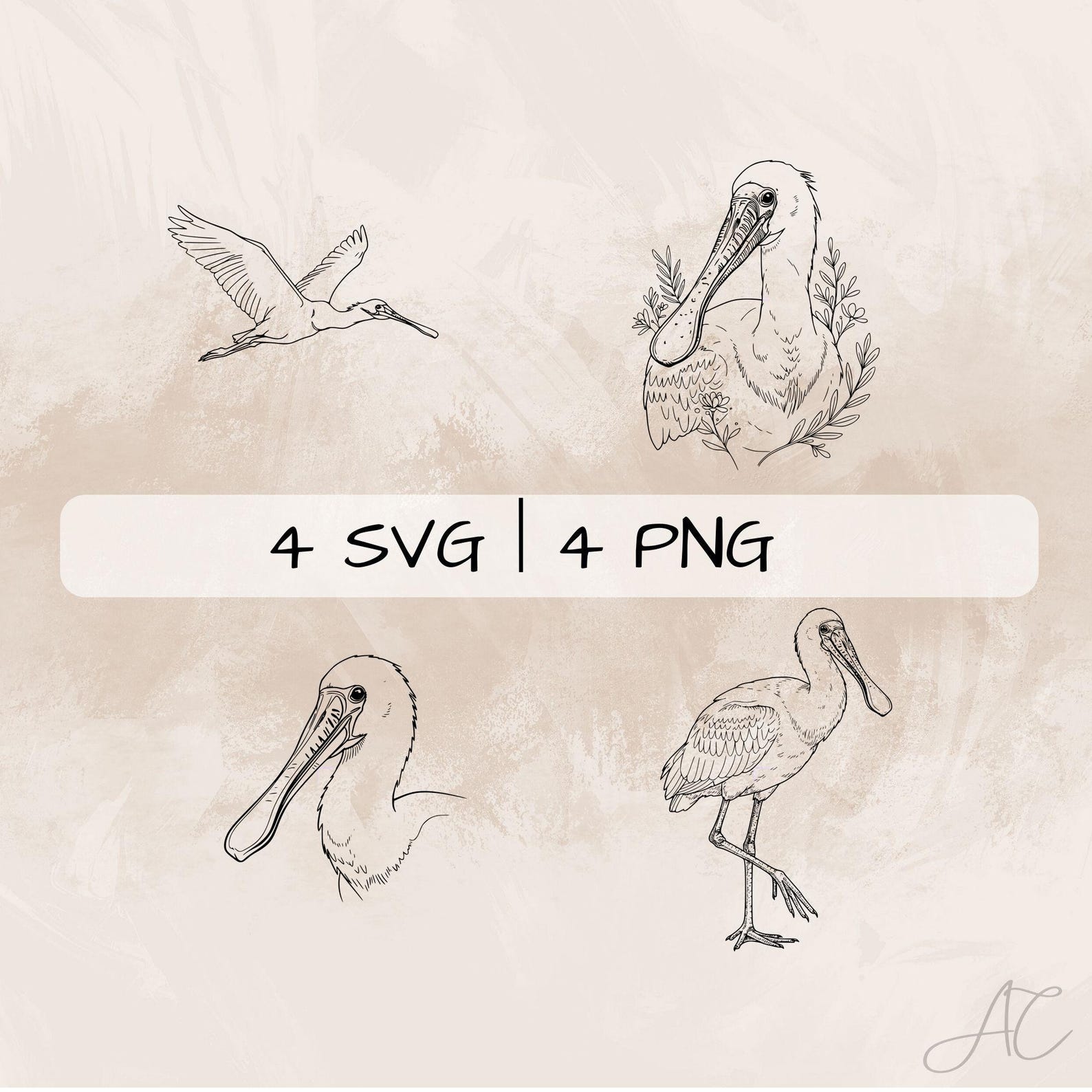 Spoonbill SVG Bundle, Spoonbill Bird PNG ,spoonbill Clipart, Hand Drawn ...