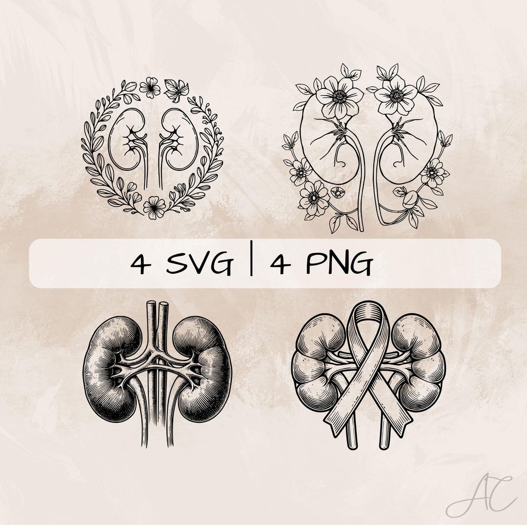 Kidney SVG Bundle, Kidneys PNG ,floral Kidney Clipart, Hand Drawn ...